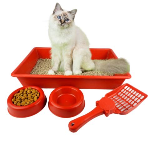 Kit Gato Baby Comedouro Bebedouro Pet Arranhado Bandeja De Areia