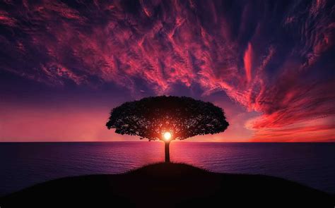 Fotos gratis cielo horizonte amanecer nube atmósfera resplandor