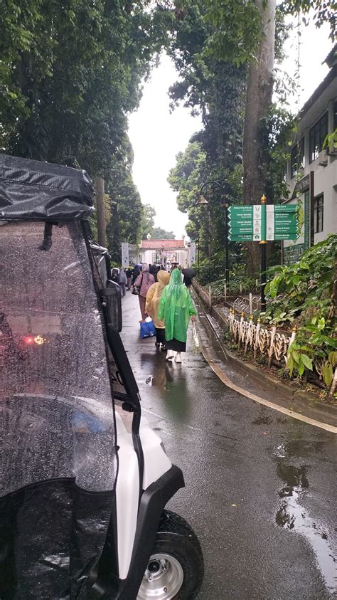 Kebun Raya Bogor Maksimalkan Fasilitas Dan Layanan Demi Pengunjung