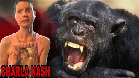 CHIMPANCÉ le COME LA CARA a una mujer YouTube