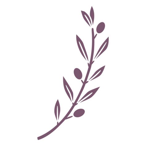 Diseño PNG Y SVG De Rama De Olivo Y Hojas Cortadas Para Camisetas