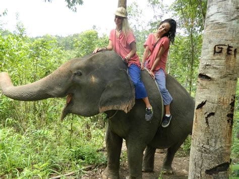 Pin Auf Elephants And Sexy Women 7 Elefanten Fun Travel Reise