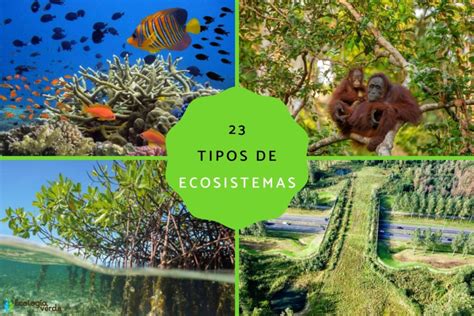 Cuántas clases de ecosistema hay Colombia Verde
