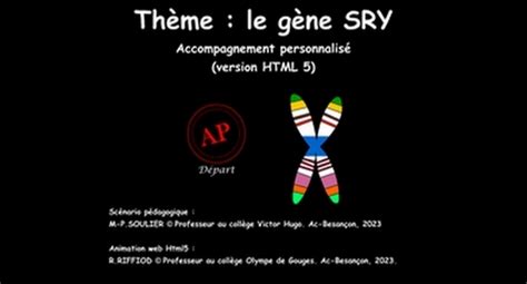 Applications Svt De Mr Riffiod