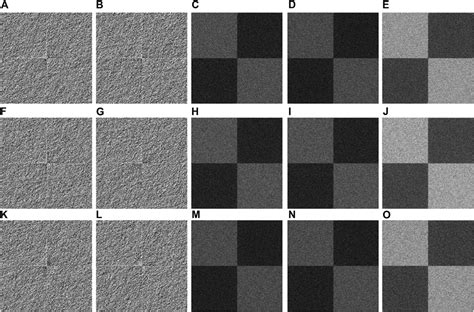 frontiers visual cryptography using binary amplitude only holograms [invited]