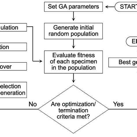 summary of the genetic algorithm procedure download scientific diagram