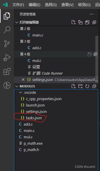 vscode编译调式c c 多文件设置 vscode插件c runner设置编译的文件名 csdn博客
