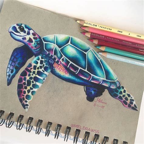 Cómo dibujar Una Tortuga Realista Paso a Paso Muy Fácil 2024 Dibuja