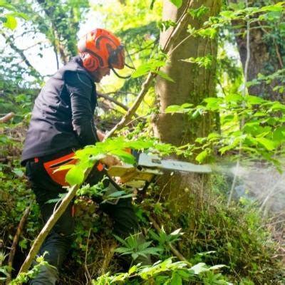 Scie à chaine Stihl Série semi professionnelle Mécanique Michel Delisle