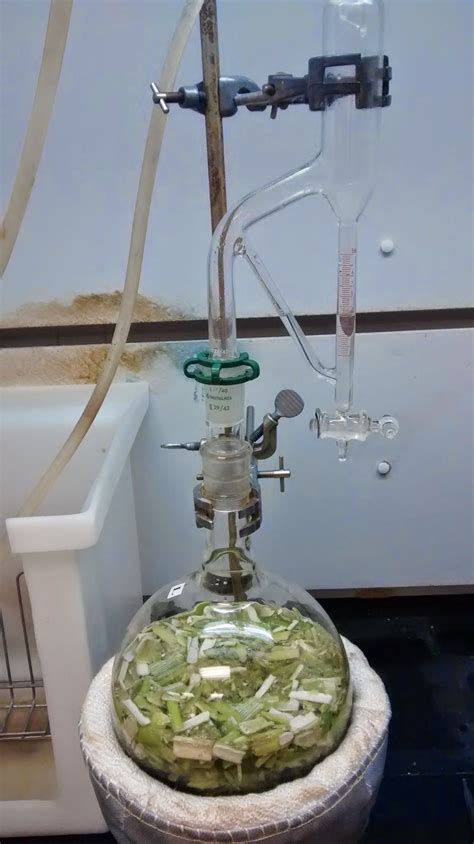 Pin On Aromatherapy Apothecary