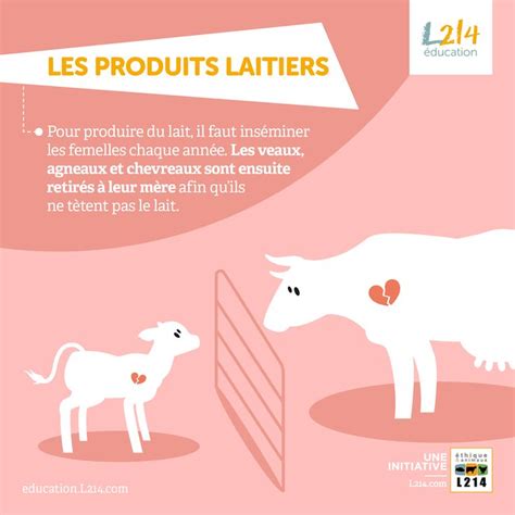 Produits Laitiers Pour Produire Du Lait Il Faut Ins Miner Les