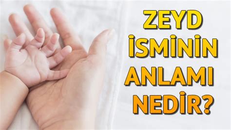 Zeyd İsminin Anlamı Nedir Zeyd Ne Demek Son Dakika Haber
