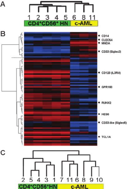 clustering of gene expression and high resolution array based cgh data download scientific