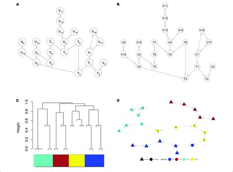 visualization of a complex graph in mrpc a the true graph includes download scientific