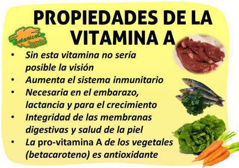 Propiedades De La Vitamina A Botanical Online