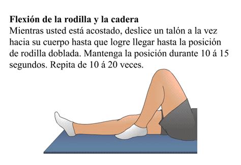 PatEdu Reemplazo De Cadera Y Fisioterapia