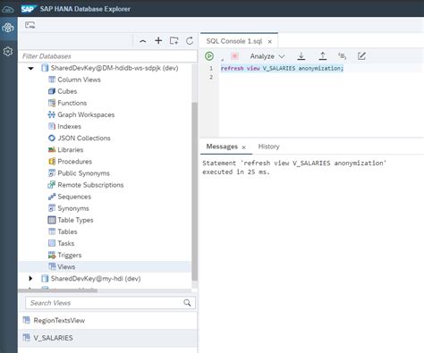 Create A Calculation View With Differential Privacy In SAP HANA Cloud
