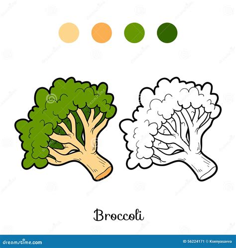 Libro De Colorear Frutas Y Verduras bróculi Ilustración del Vector