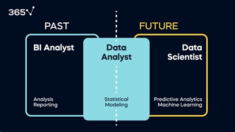 The Types Of Data Science Roles Explained Data Science