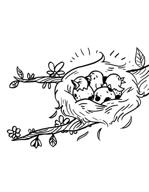 Desenho De Filhotes De Passarinho No Ninho Para Colorir Tudodesenhos