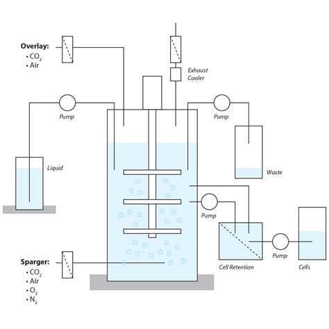 Bioreactor Labelled Diagram