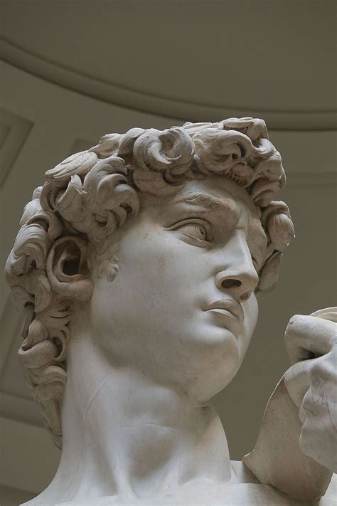 El David de Miguel Ángel VITRUVIO ARTE LA ESENCIA DEL ARTE