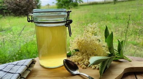 Syrop z kwiatów czarnego bzu PRZYGOTOWANIE W 7 KROKACH