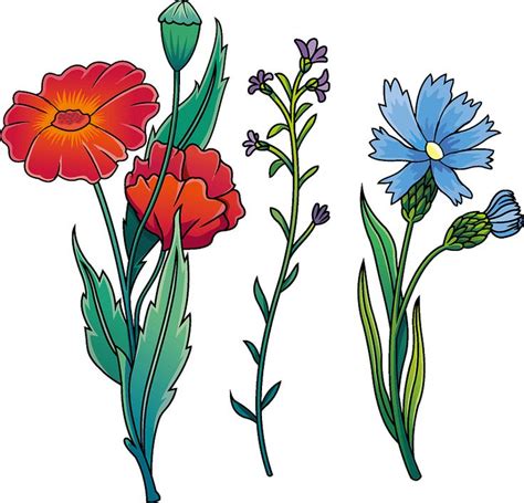 Wild Flower Clipart