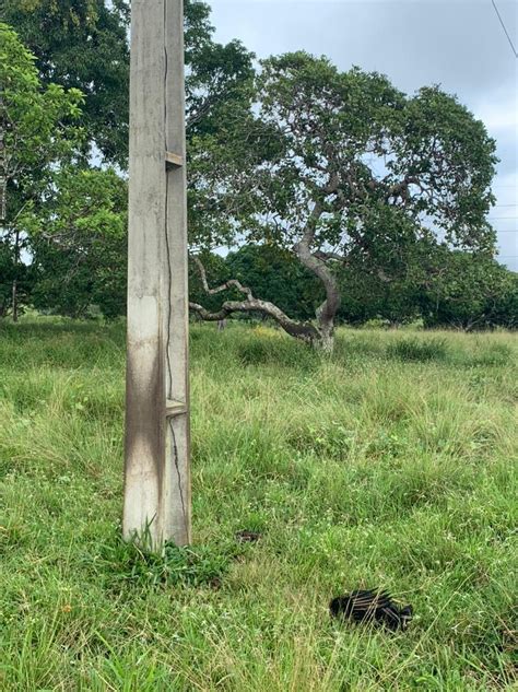 Homem morre ao receber descarga elétrica na zona rural de Xapuri após