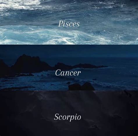 Pin By Tessa Castro On ASTROLOGICA I A Way Of Life In 2024 Zodiac