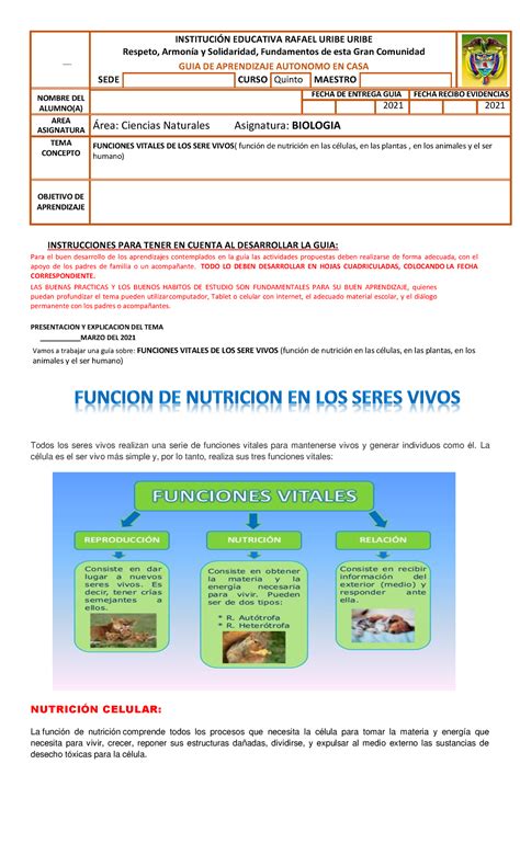 GUIA 2 Funcion DE Nutricion EN LOS Seres Vivos 5 TOLE R A N CI A