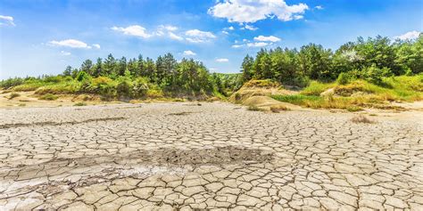 Cómo enfrentar la escasez hídrica que afecta a Chile y al mundo