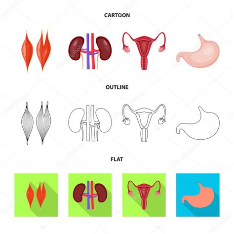 Objeto Aislado De La Biolog A Y El Icono Cient Fico Conjunto De Biolog