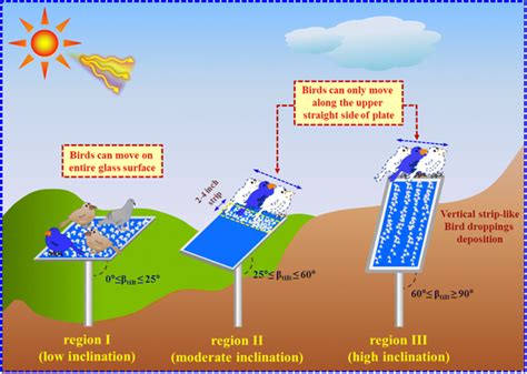 Schematic Diagram Showing The Effect Of BD Deposition On The Common RFP