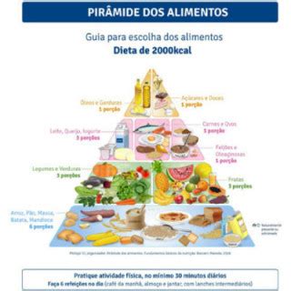 O que devo comer para ter uma vida saudável O Contador de Cervejas