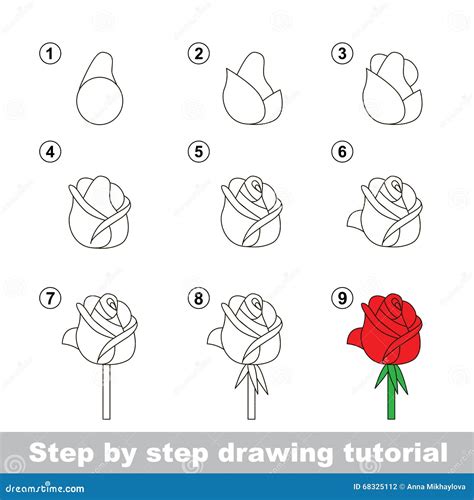 Drawing Tutorial How To Draw A Rose Stock Vector Image 68325112