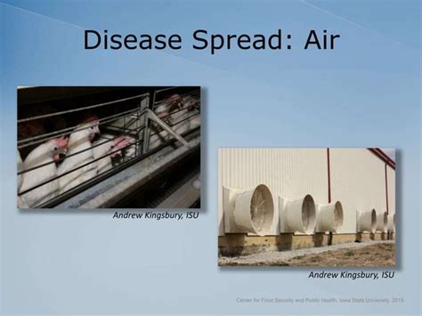 Poultry Biosecurity Training Intro FINAL Ppt