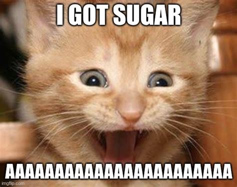 Sugar Imgflip