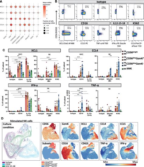 Frontiers Single Cell Transcriptomics In Bone Marrow Delineates