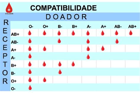 Conheça a Tabela de Compatibilidade dos Doadores e dos Receptores