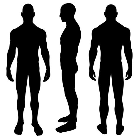 Man Body Vector Black Silhouettes In Front Side And Back View 8327880
