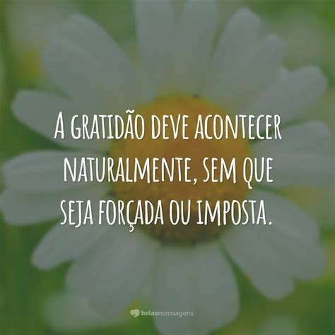 Motivos Para Ser Grato Librain
