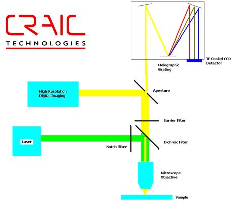MicroRaman Spectrometer Raman Spectroscopy Supplier