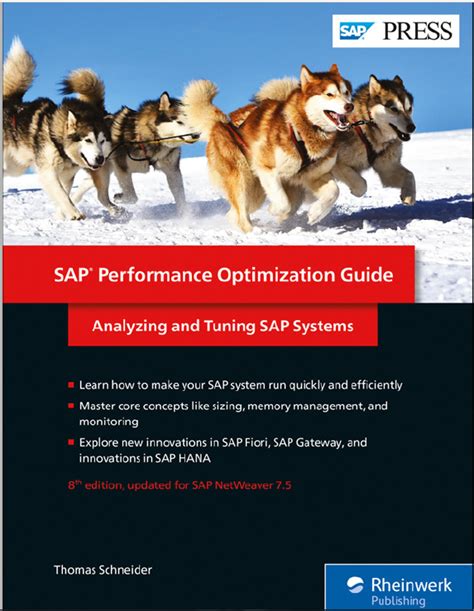 Sap Press Sap Performance Optimization Guide Analyzing And Tuning