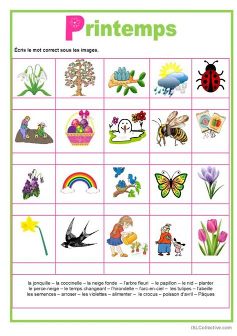 Printemps Dictionnaire Visuel Ou T Che D Appariement Pra