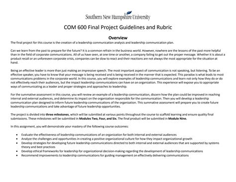 SOLUTION Snhu 600 Final Project Guidelines And Rubric Studypool