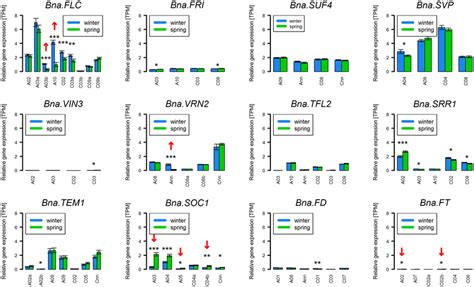 Normalized Gene Expressed Levels Tpm From Rnaseq Data For