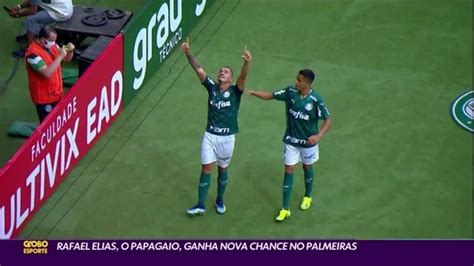 Palmeiras se reapresenta após fim de semana de folga veja como foi a