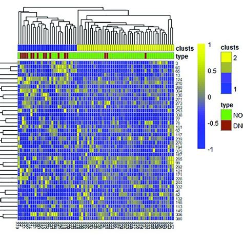 Unsupervised Clustering Heat Map Of The Selected Features Rows