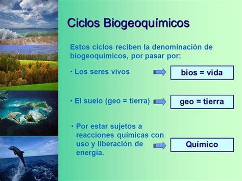 Ciclos biogeoquímicos qué son cuáles son todos y su importancia